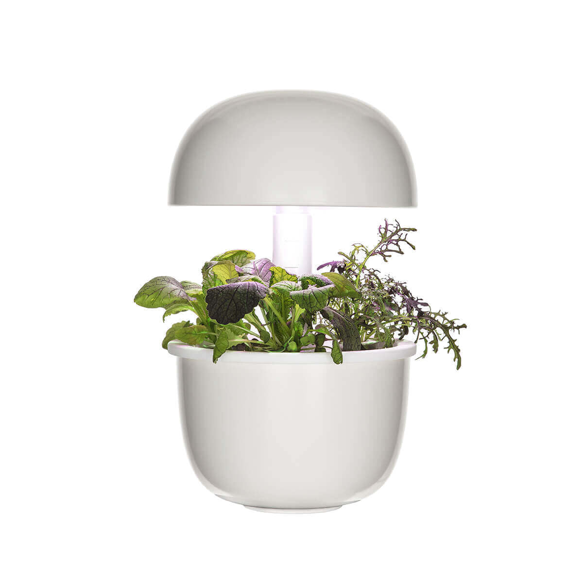 Plantui 3e Smart Garden – Giardino Intelligente per Coltivare Piante ...